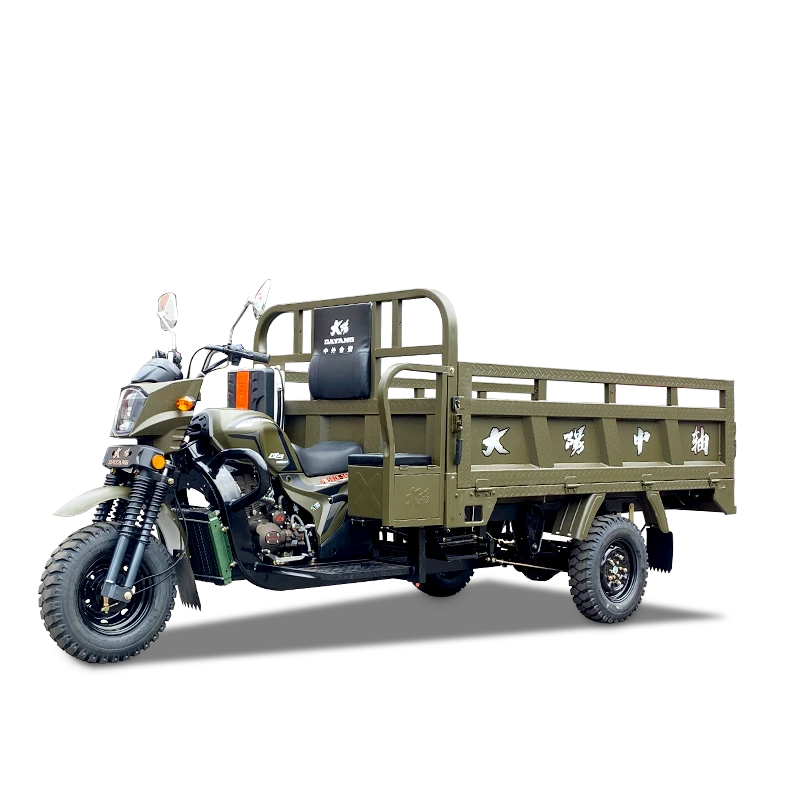 China Customized Hot Style Three-Wheels Motorcycle Cargo Motor ...