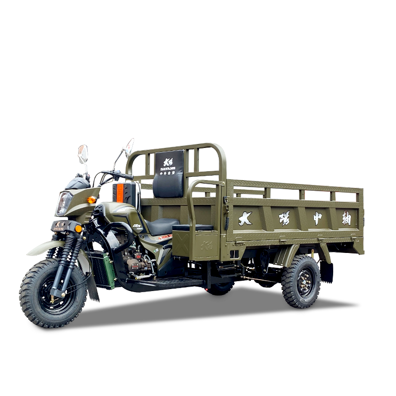 China Customized Threewheel Cargo Motorcycle Cargo Loader Passenger ...